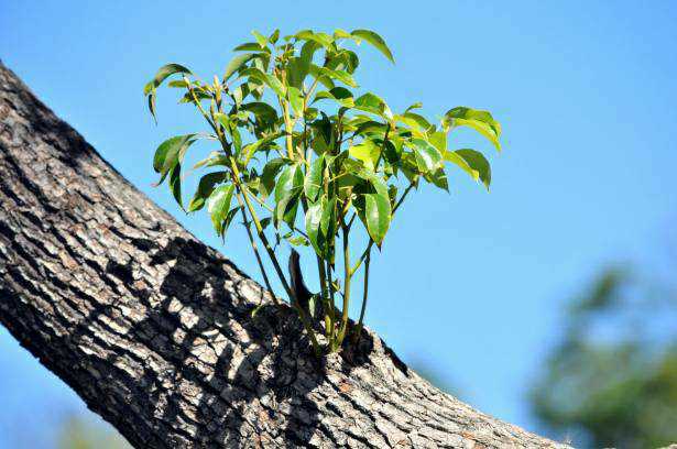 Danob - Our Partners